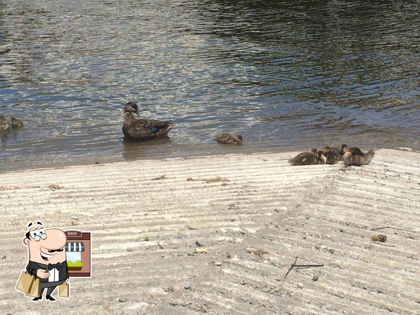 Dows Lake Pavilion, Ottawa - Restaurant menu, prices and reviews