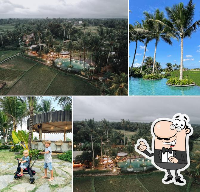 Kelapa Muda Ubud Pool Bar & Kitchen, Peliatan - Restaurant menu, prices ...