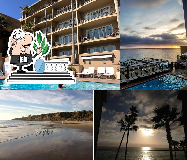Surf and Sand Resort in Laguna Beach - Restaurant menu and reviews