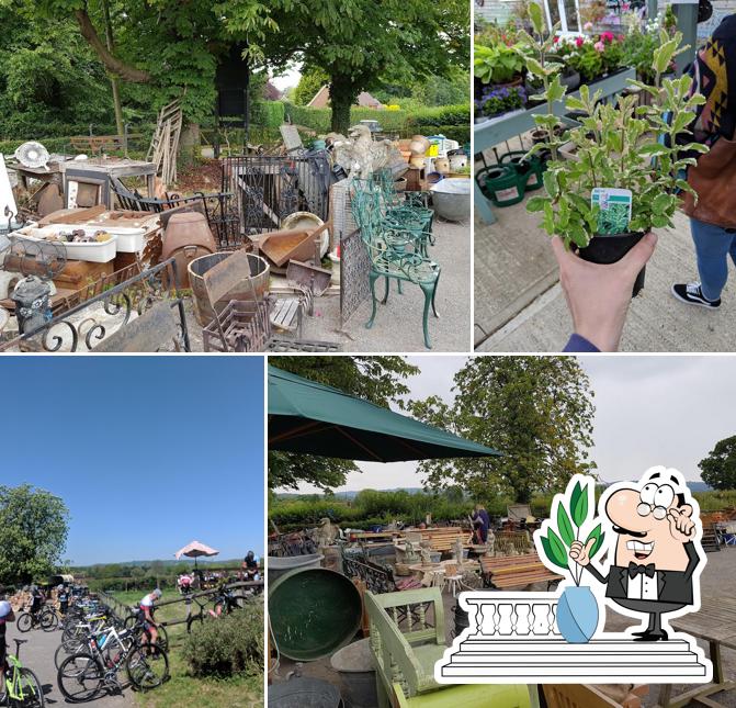 Four Elms Nursery, Edenbridge - Restaurant menu, prices and reviews