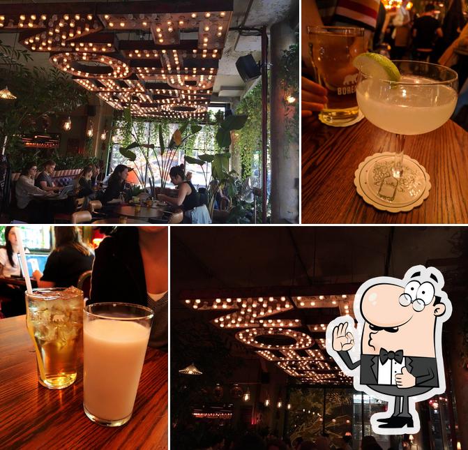 Le Darling in Montréal - Restaurant reviews