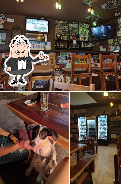 Cantina Montejo pub & bar, Merida