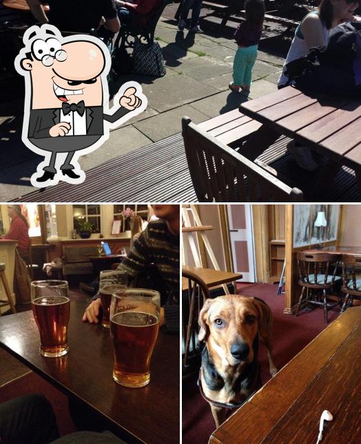 The Fox Hanwell, London - Restaurant menu, prices and reviews