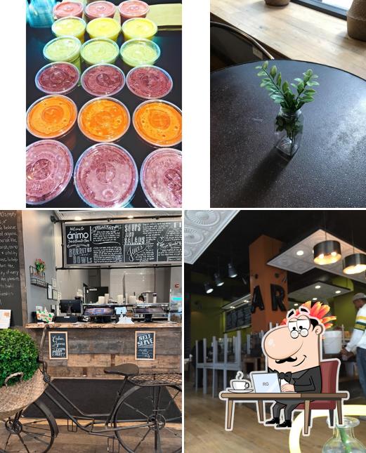 Animo Juice and Burrito Bar, Philadelphia - Restaurant menu, prices and ...