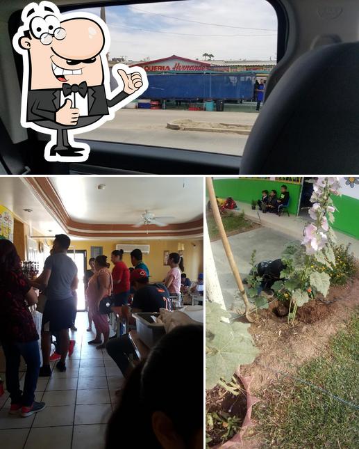 Pollos Angel restaurant, Guadalupe Victoria - Restaurant reviews