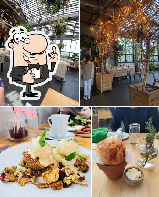 Terrain Cafe in Devon - Restaurant menu and reviews