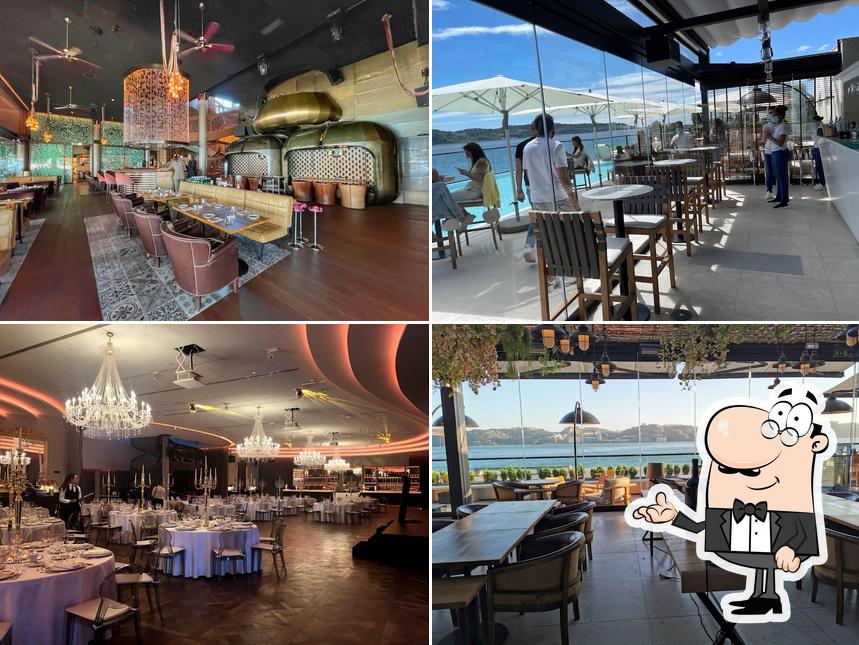 SUD Lisboa restaurant, Lisbon - Restaurant menu and reviews