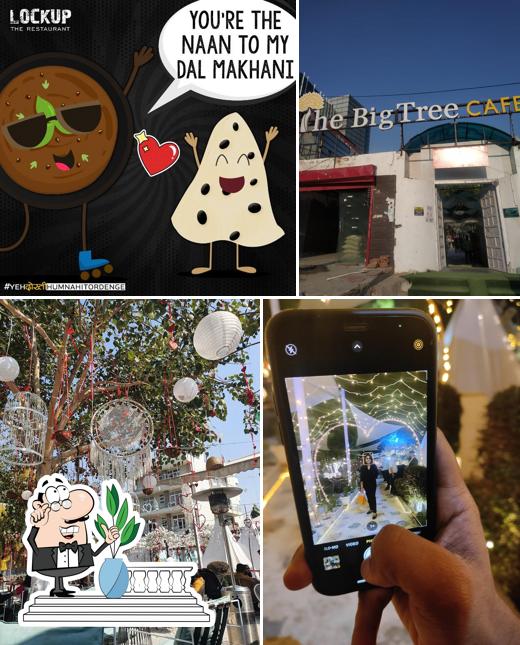 The Big Tree Cafe Golf Course Road Big Tree Cafe, Gurugram - Restaurant ...