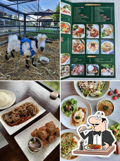 All Weather Farm, Bangkok - Restaurant menu, prices and reviews