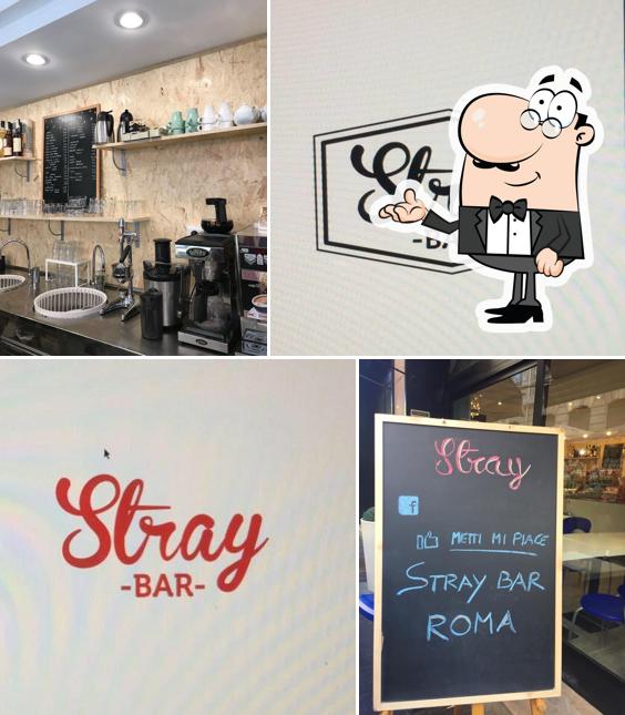Stray Bar, Rome - Critiques de restaurant