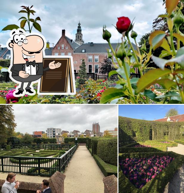 Hotel Prinsenhof Groningen, Groningen - Restaurant menu and reviews