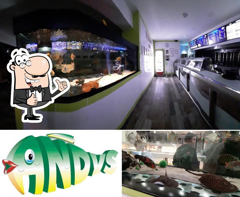Andy's Fish Bar in Swadlincote - Restaurant menu and reviews