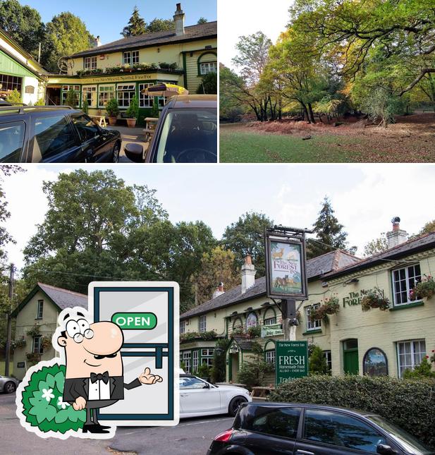 New Forest Inn Lyndhurst in Lyndhurst - Restaurant reviews