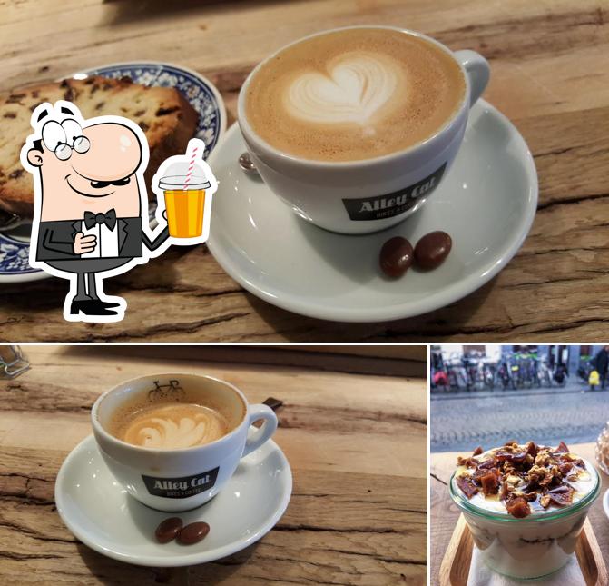 Alley Cat Bikes & Coffee, Maastricht - Restaurant menu, prices and reviews