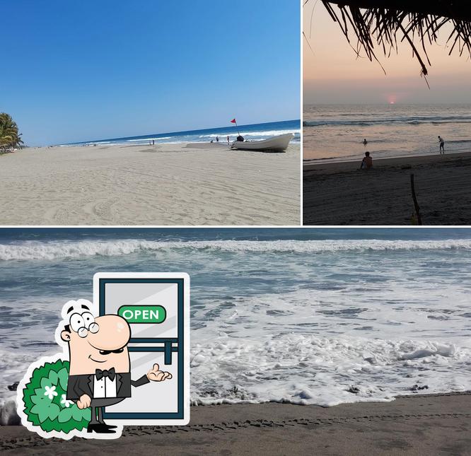 Restaurante Playa Linda, Puerto Arista - Opiniones del restaurante