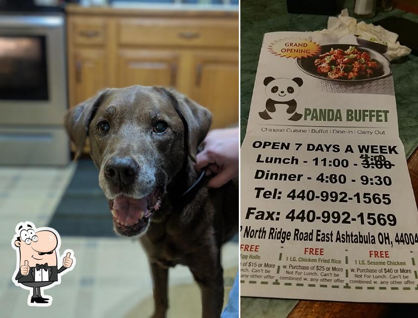 Panda Buffet, Ashtabula - Restaurant menu, prices and reviews