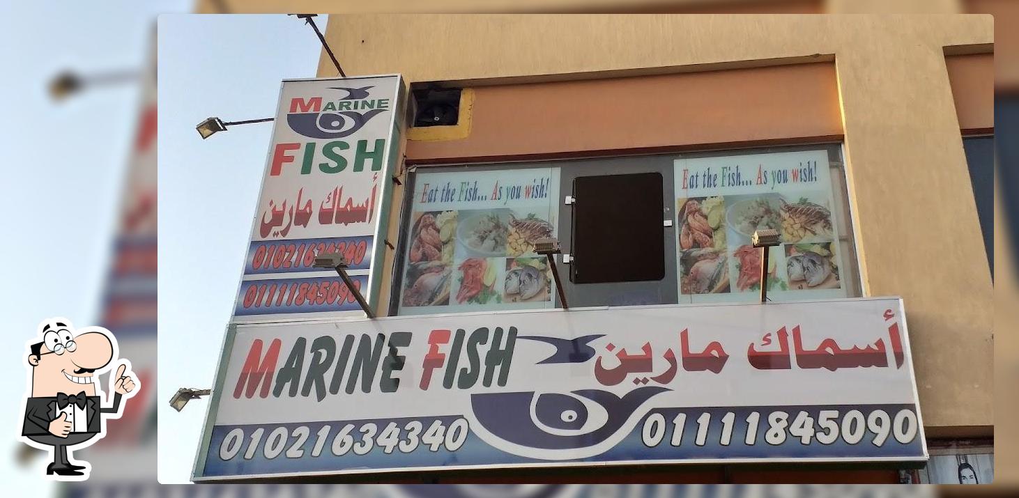 Top 10 restaurants in Sheikh Zayed City, august 2025 - Restaurant Guru