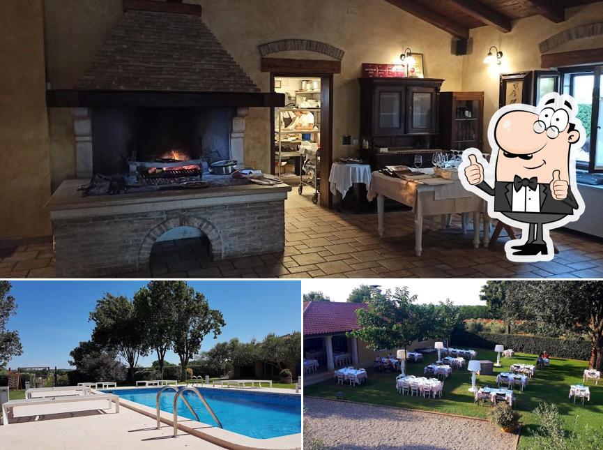 Alla Beccaccia restaurant, Fažana - Restaurant reviews