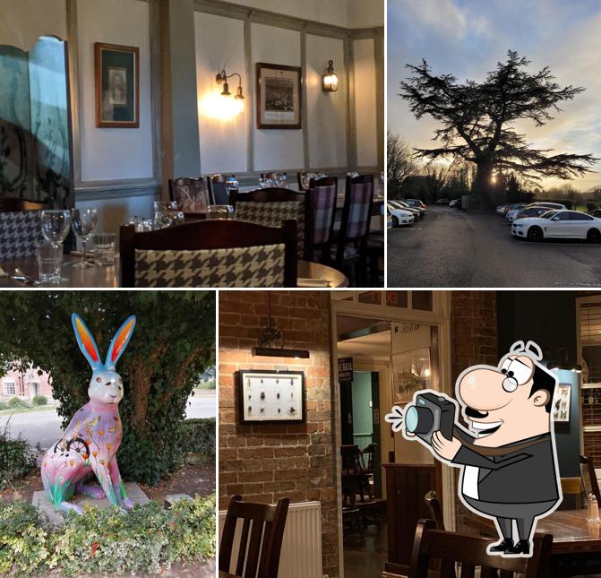 Hare Arms Stow Bardolph, Lynn Rd in Stow Bardolph - Restaurant reviews