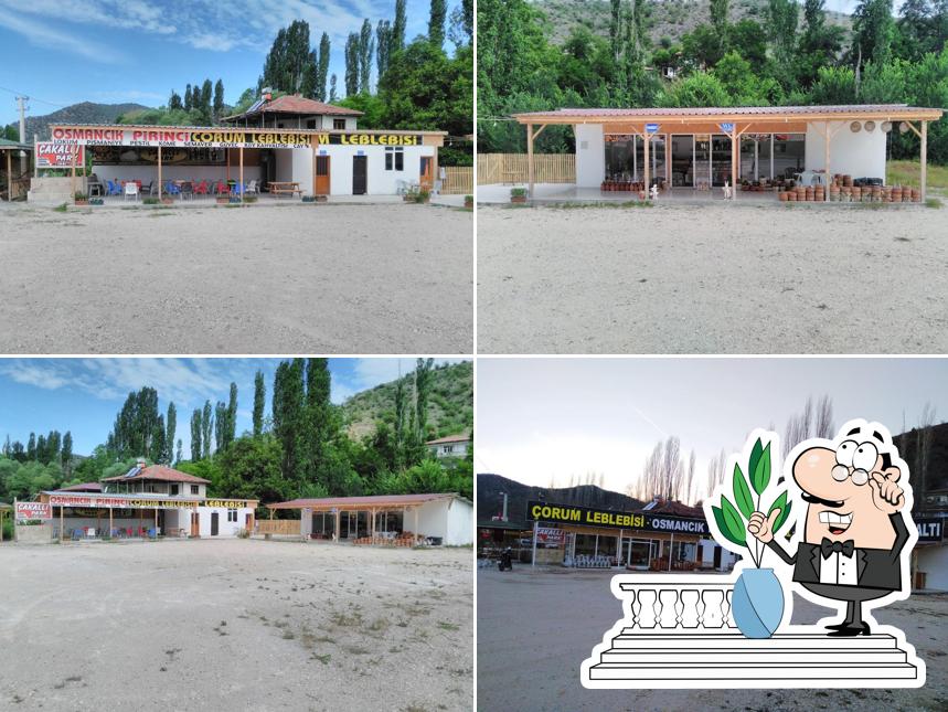 Çakallı Park, Turkey - Restaurant reviews