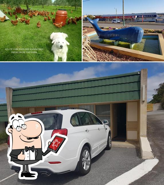 Shells Restaurant Comfort Inn Albany in Mount Melville - Restaurant reviews