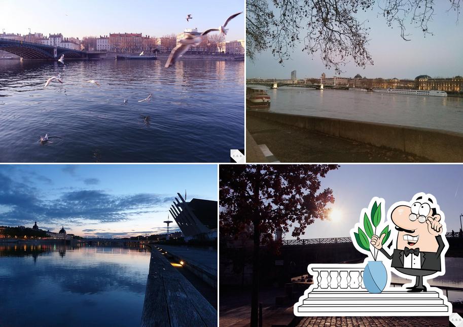 Les Quais pub & bar, Lyon - Restaurant reviews