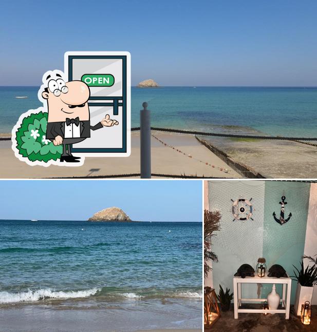 Turtle Beach, Dibba Al Fujairah - Restaurant menu, prices and reviews