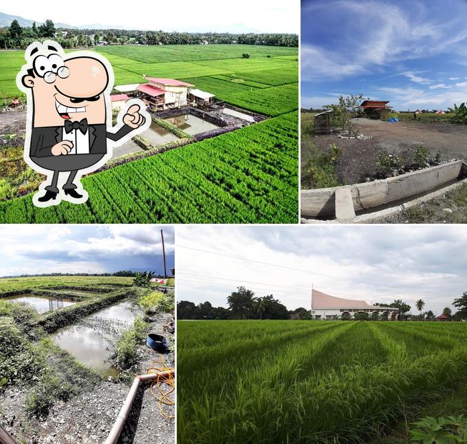 Norberto's Farm Restaurant, Banaybanay - Restaurant reviews