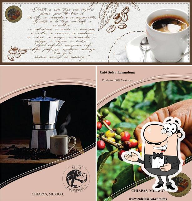 Café Selva Lacandona, Comitán, Carretera Panamericana km. 1261.5 ...