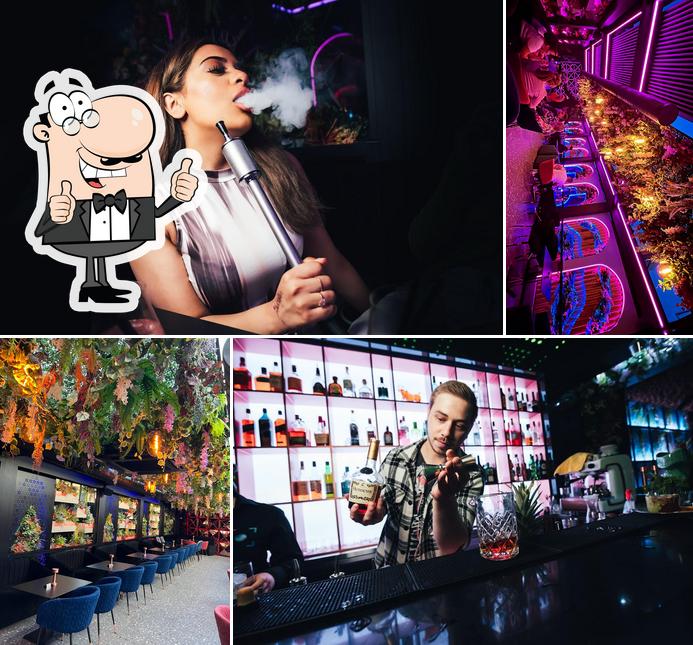 Select Lounge in London - Restaurant reviews