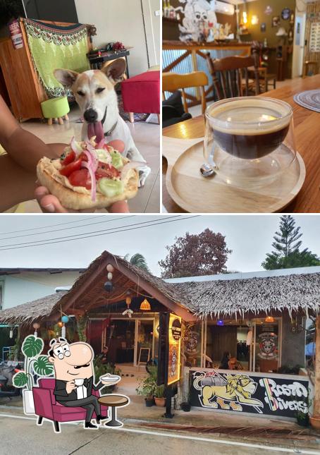 High Ground Coffee Shop Specialty Coffee Coffee Roasters, Ko Tao ...