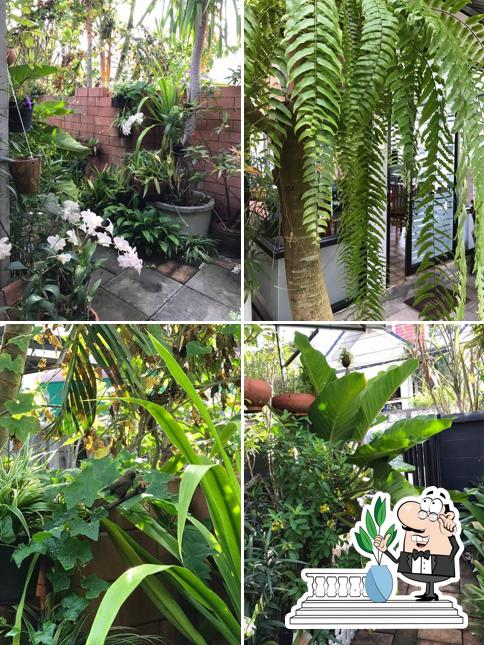 Chateau Coffee Songkhla cafe, Songkhla - Restaurant reviews