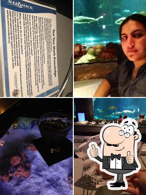 Sharks Underwater Grill in Orlando - Restaurant menu and reviews