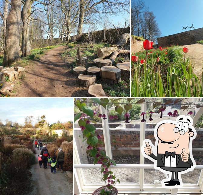 Cambo Gardens in Kingsbarns - Restaurant reviews