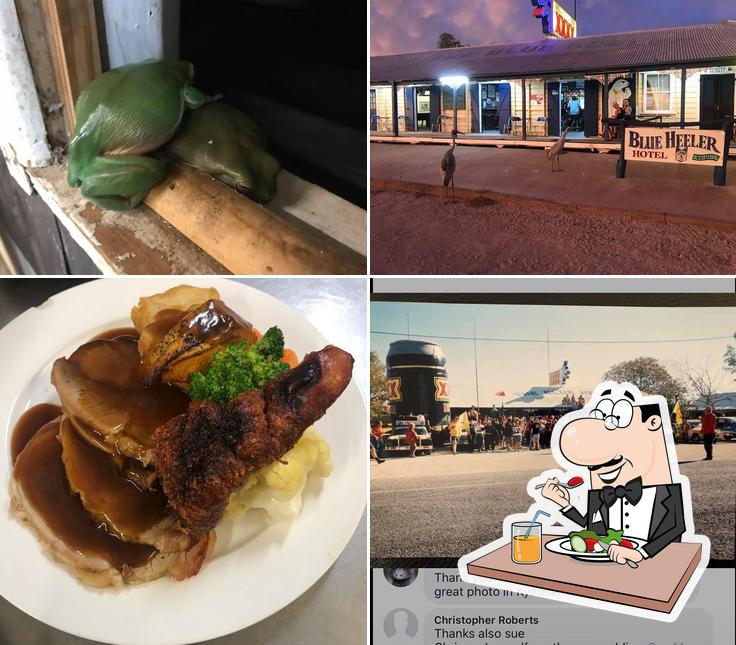 Blue Heeler Hotel, Kynuna - Restaurant menu, prices and reviews