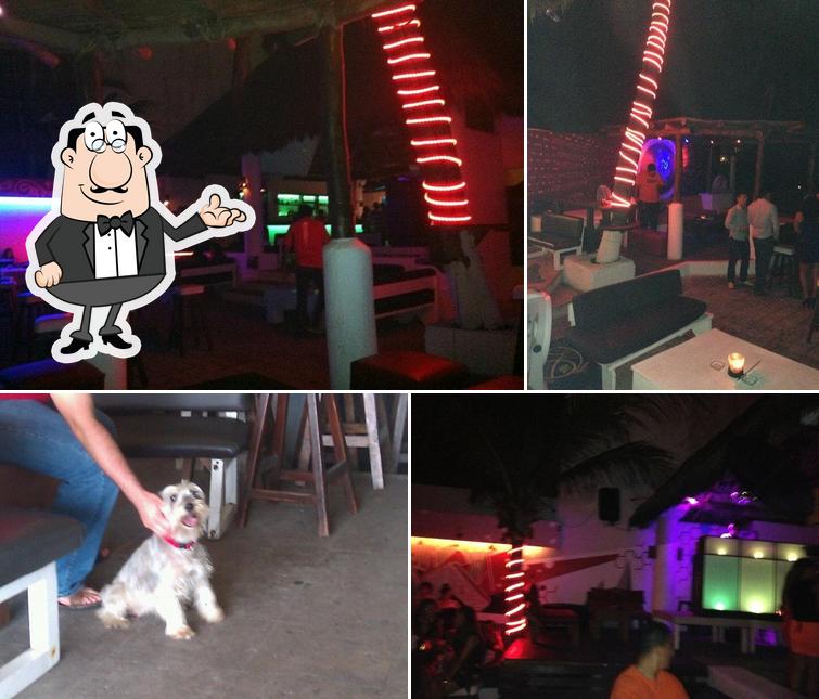 Sunset Lounge Manzanillo pub & bar, Manzanillo - Restaurant reviews
