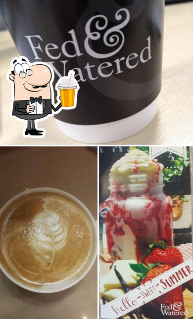 Fed & Watered in Belfast - Restaurant reviews