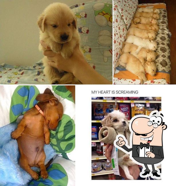Perritos Tiernos pub & bar, Buenos Aires - Restaurant reviews