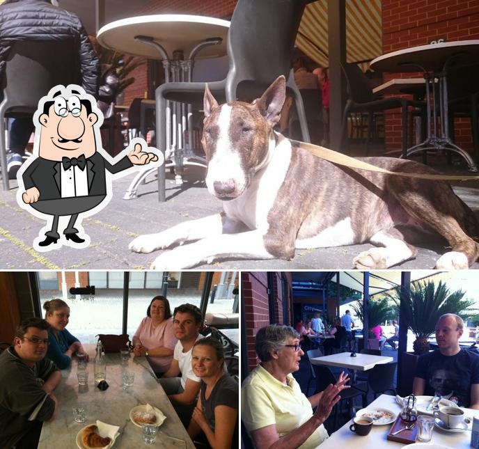 Nano, Adelaide - Restaurant menu, prices and reviews