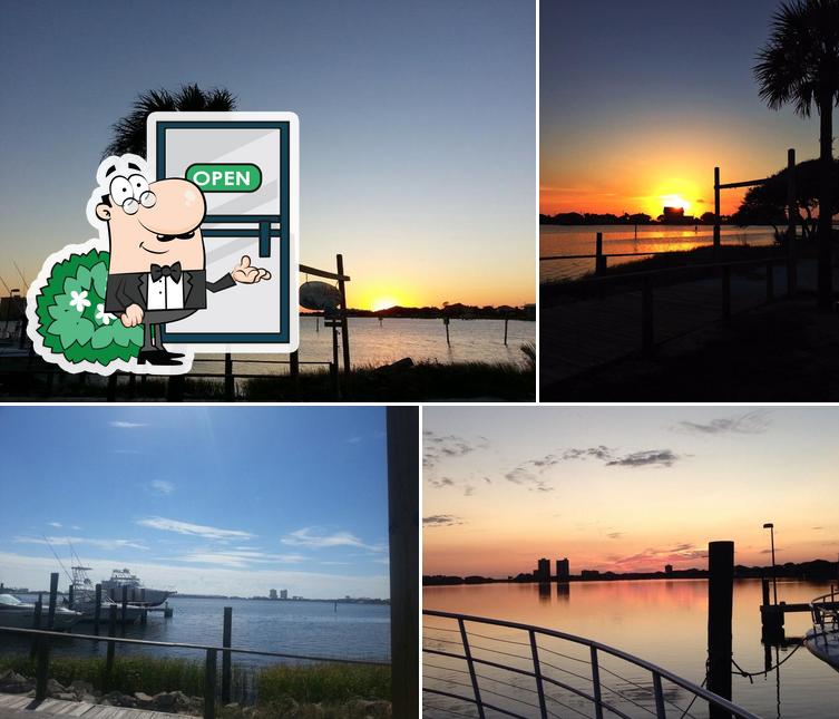 The Shaka Bar, Pensacola Beach - Restaurant menu, prices and reviews
