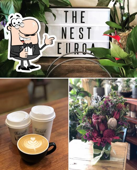 The Nest Euroa in Euroa - Restaurant menu and reviews