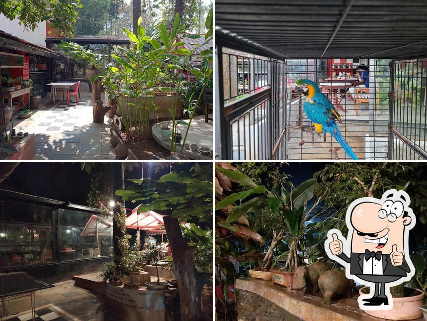 SWEET RASCAL, Yercaud, 5 Lover's Lane - Restaurant reviews