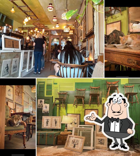 Cleocatra Café - Cat Cafe/ Portage Ave, Winnipeg - Restaurant menu ...