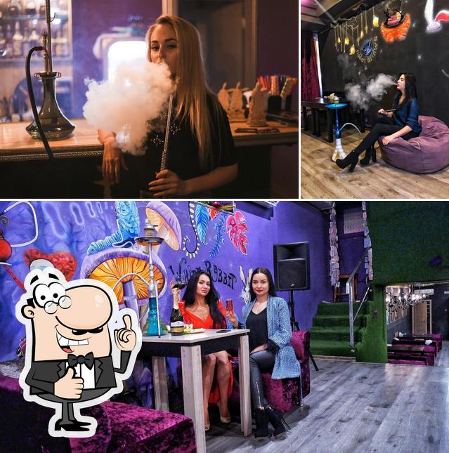 White Rabbit pub & bar, Krasnodar, Ulitsa Severnaya - Restaurant reviews