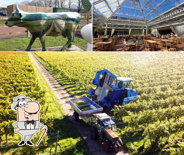 Denbies Wine Estate, Dorking - Restaurant menu, prices and reviews