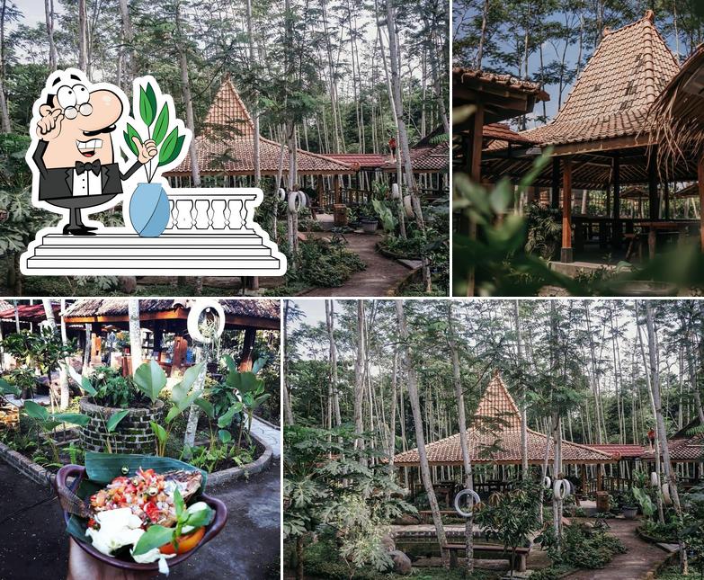 Mbah Bayan Coffee and Kitchen restaurant, Godean - Restaurant reviews
