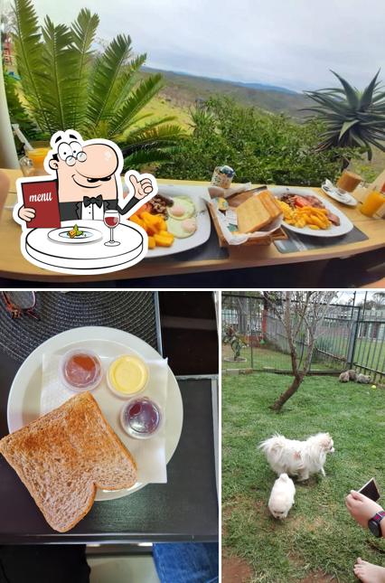 Local is Lekker restaurant, South Africa - Restaurant reviews