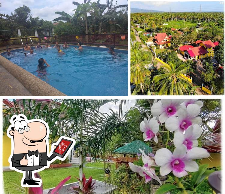 Café ParkSprings Lipa Resort & Events Center, Lipa - Opiniones del ...