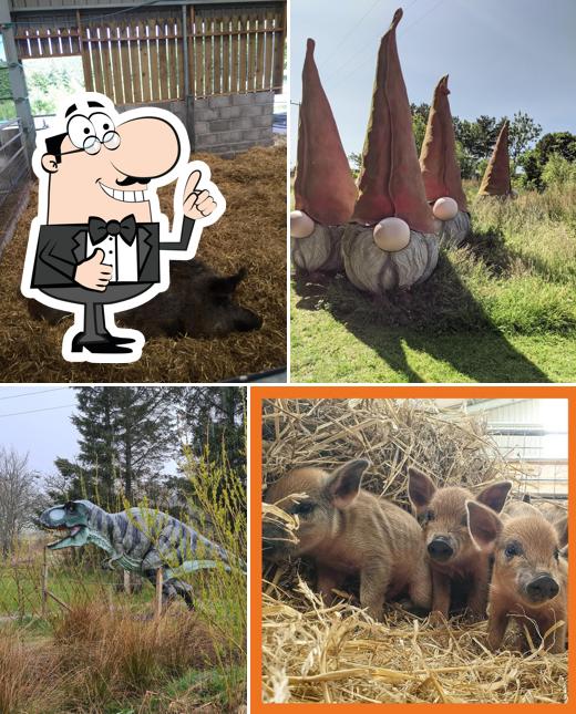 Wynford Farm Park in Aberdeen - Restaurant reviews