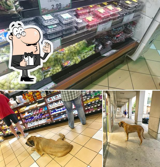 Rabba Fine Foods, 12 Harrison Garden Blvd in Toronto